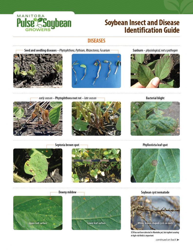 Scouting Calendars Can Help!! – Manitoba Pulse & Soybean Growers