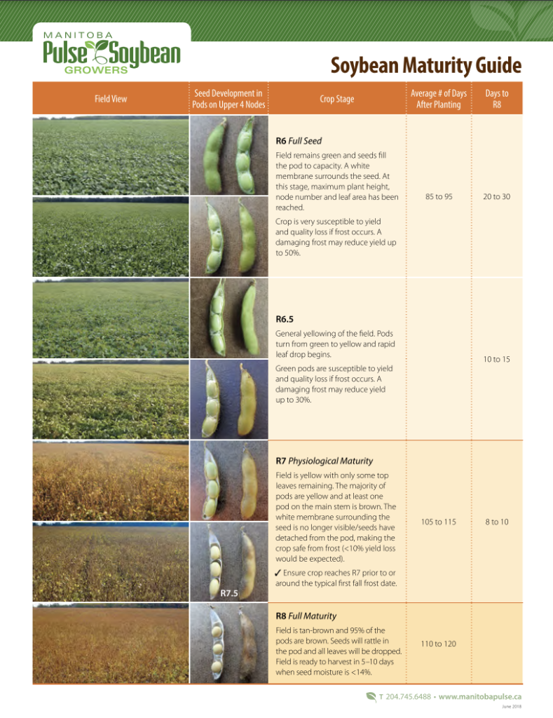 Soybean Maturity Guide – Manitoba Pulse & Soybean Growers