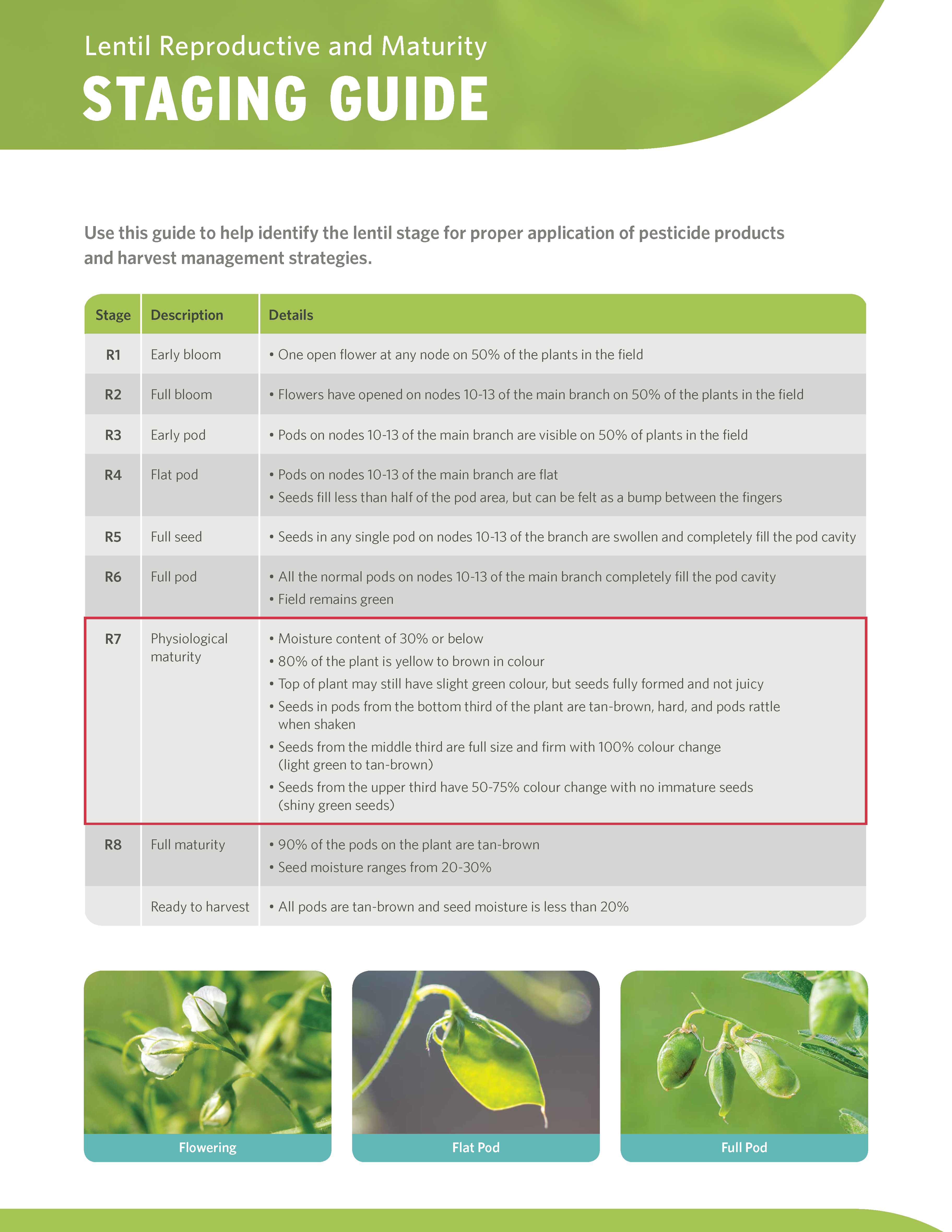 Lentil Reproductive and Maturity Staging Guide_Page_1 – Manitoba Pulse ...