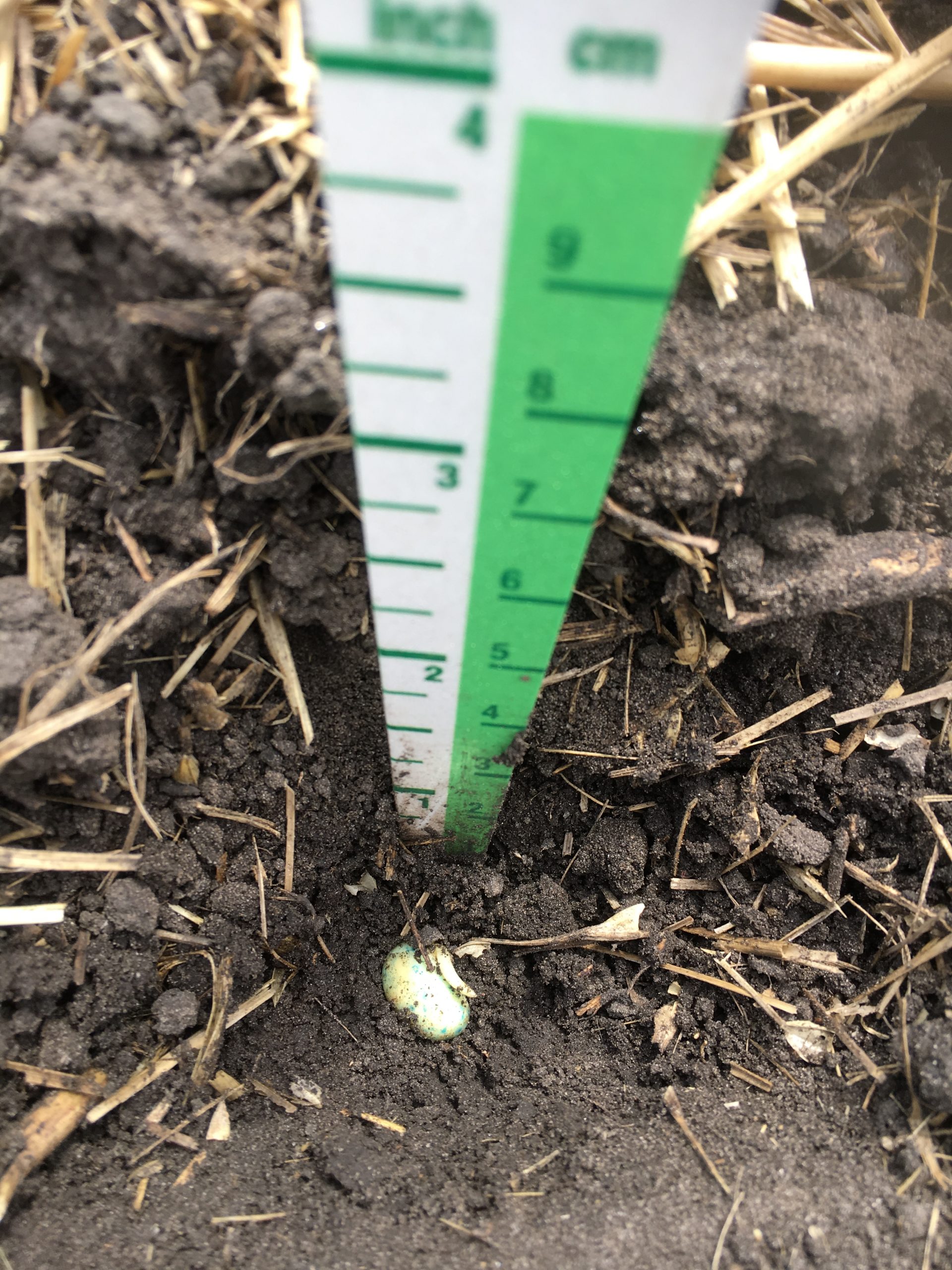 Soybean Seed Depth Assessment – Manitoba Pulse & Soybean Growers