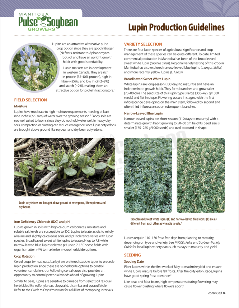 Lupin Production Guidelines – Manitoba Pulse & Soybean Growers